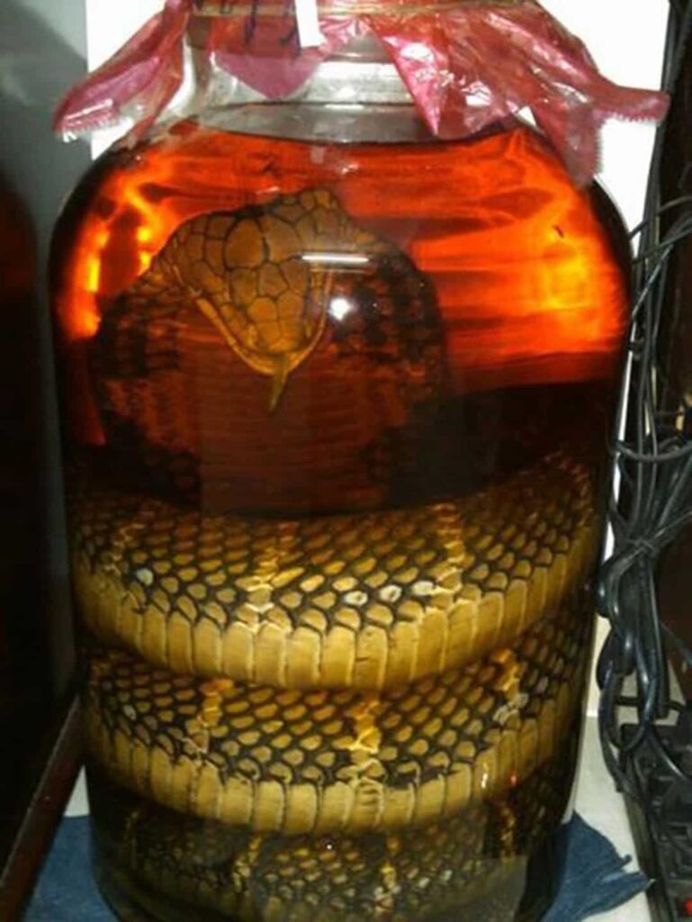 Rượu rắn hổ mang tốt không? Có những lưu ý gì cần biết? - dieuquanhta ...